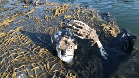 THE RAFT TRIBUTE.