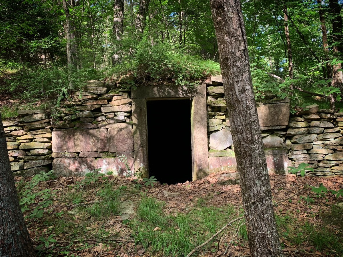 ABANDONED CRYPT IN THE WOODS.